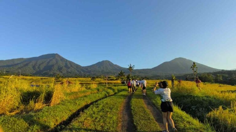Bali Tourism Run 2026 di Jatiluwih Sukses, Ekonomi Lokal Tembus Rp 2 ...